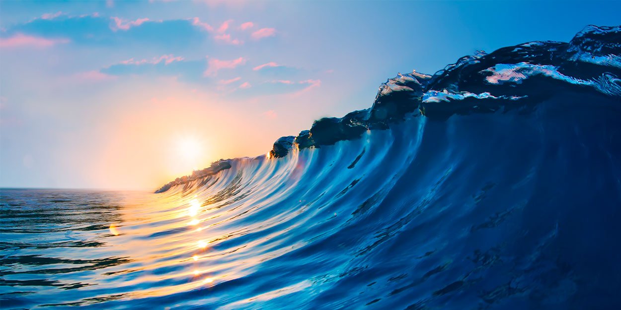 E4O - Mouvement International pour l'Océan