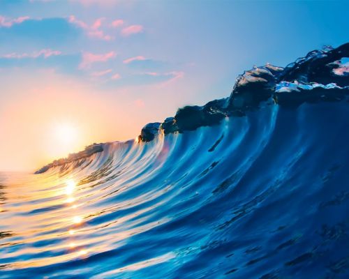 Engaged For Ocean – Global Label for Ocean